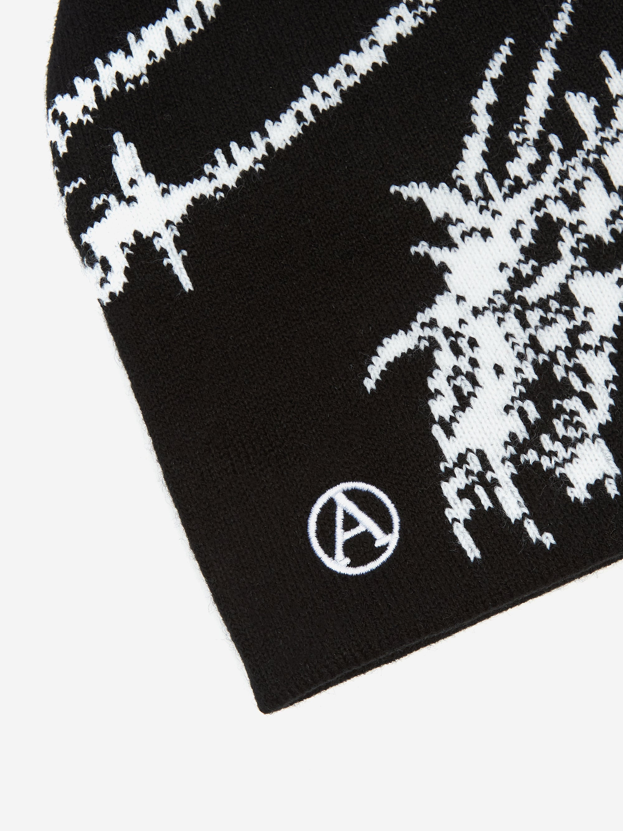 Aries Dragon Skeleton Beanie - Black – Goodhood