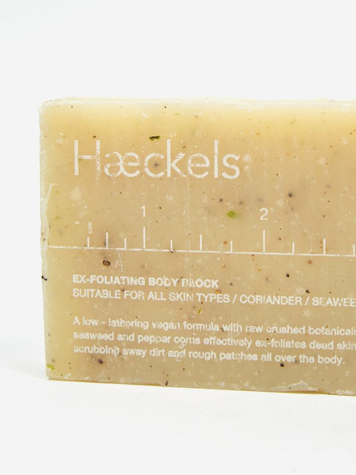Haeckels 2.0 Exfoliating Seaweed Block – Goodhood