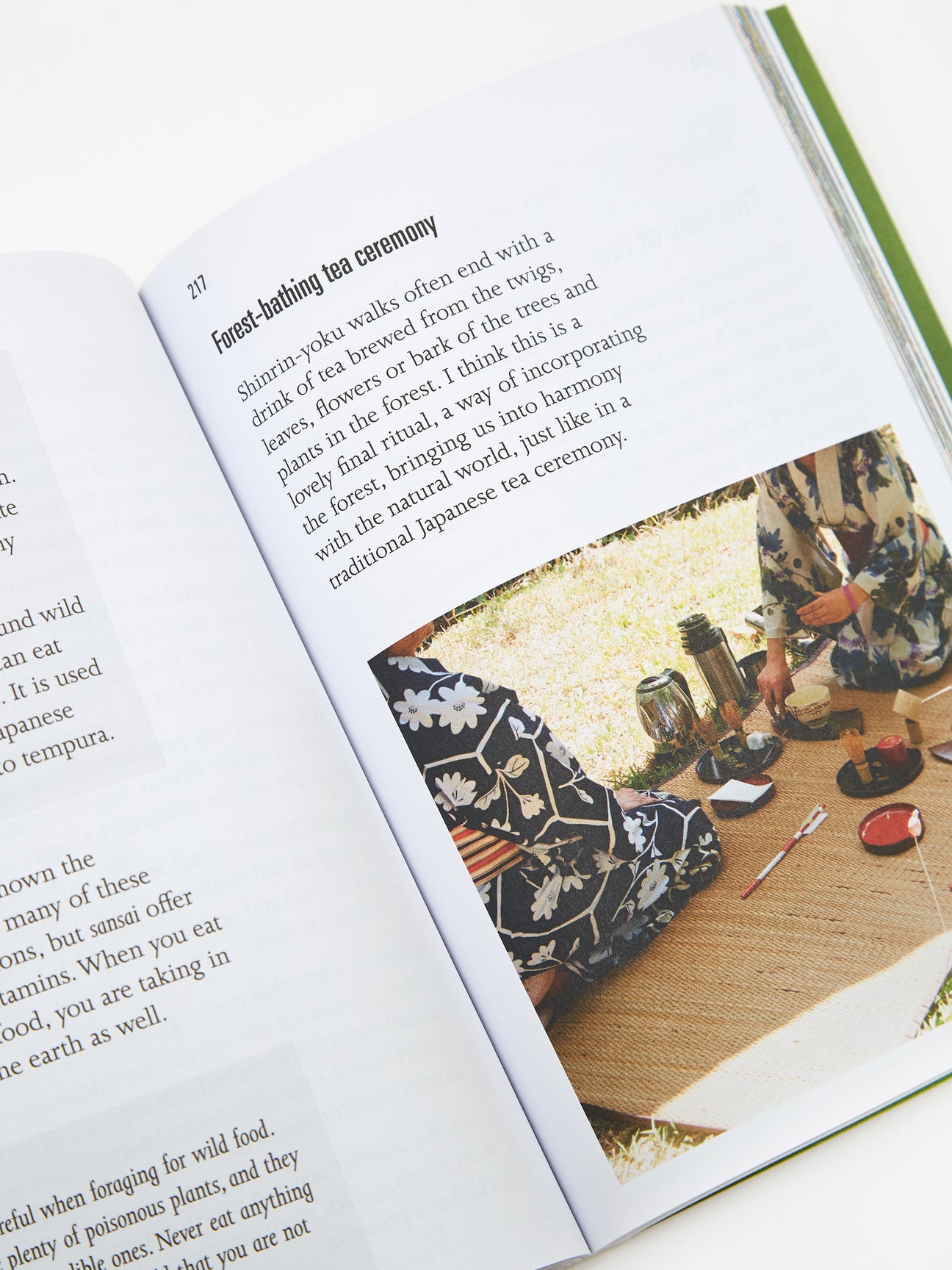 Into The Forest, By Dr Qing Li – Goodhood