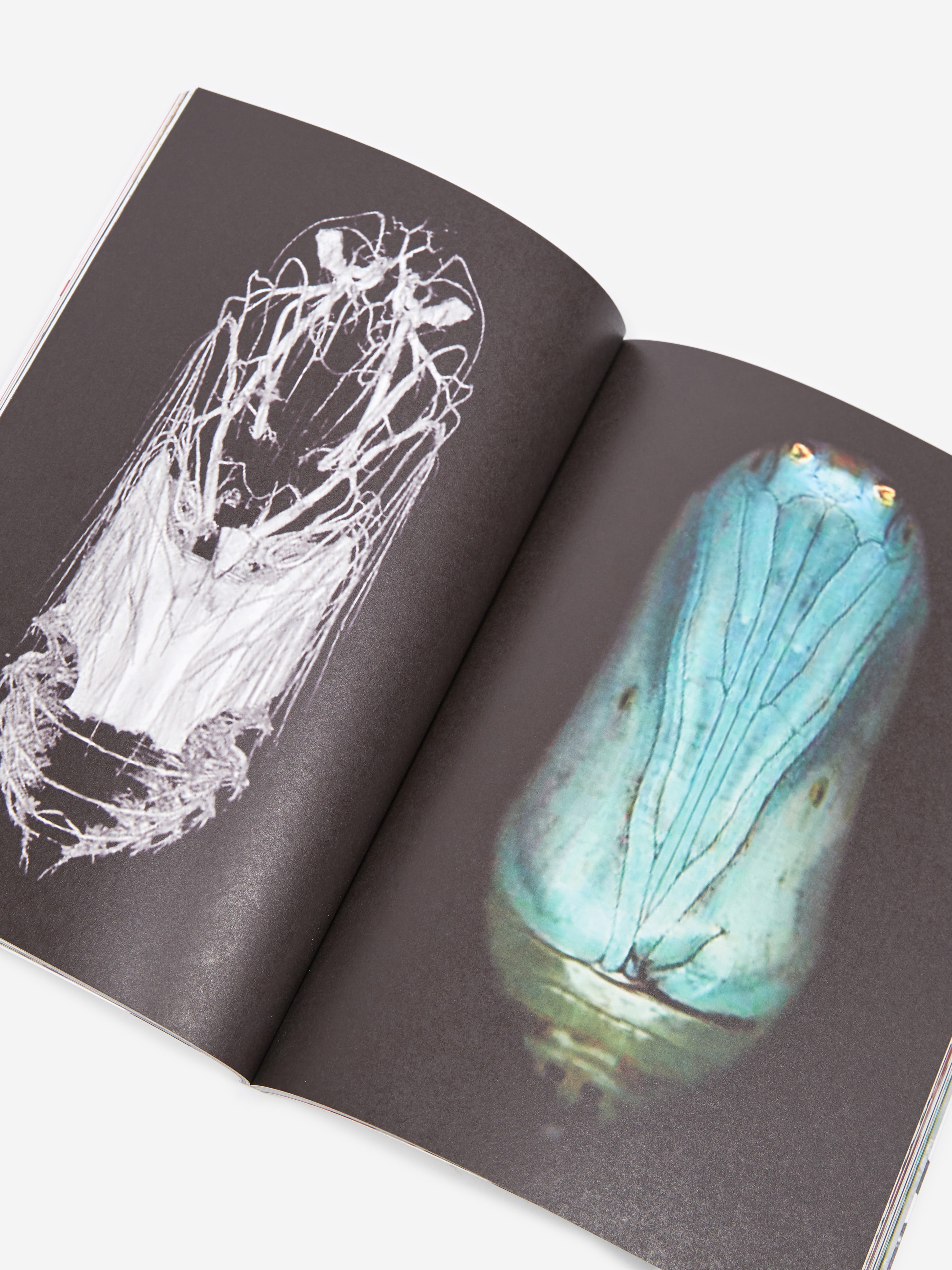 Russell Maurice - Insect Technology Multi One Size Core – Goodhood