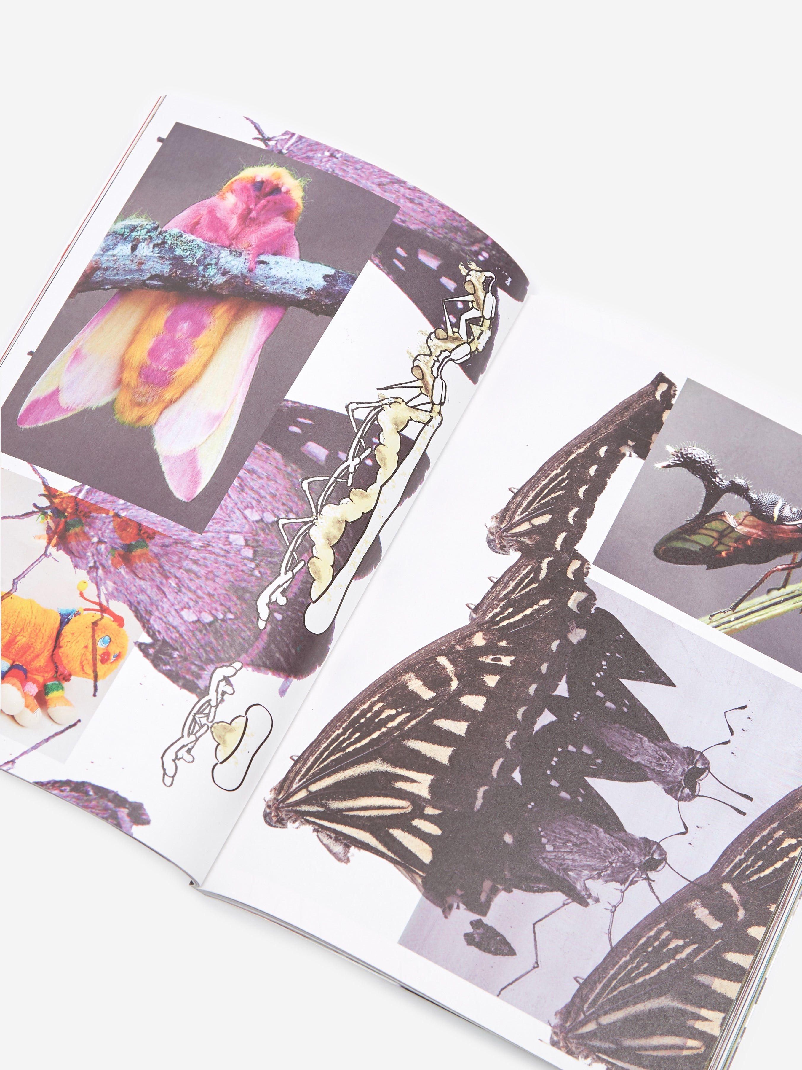 Russell Maurice - Insect Technology Multi One Size Core – Goodhood