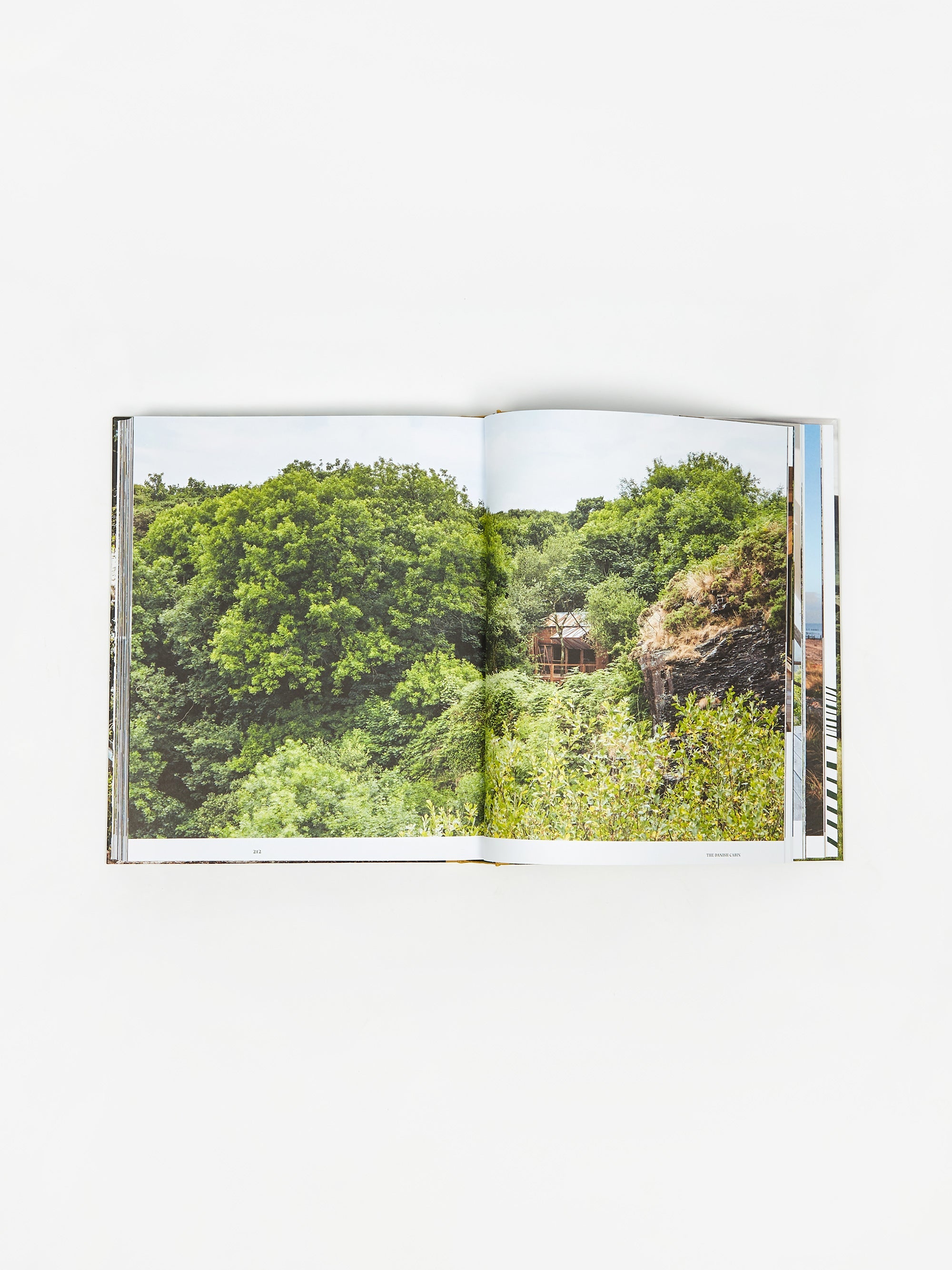 Stay Wild | Goodhood
